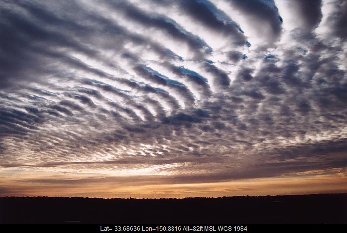 Altocumulus Undulatus