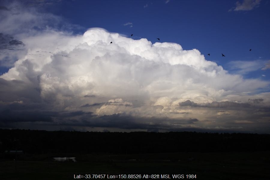 Pileus Cap Clouds