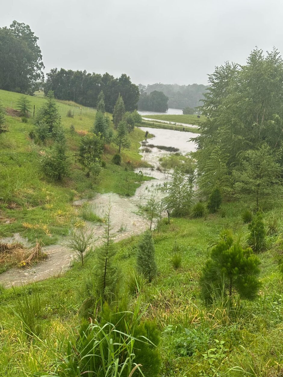 Ex Tropical Cyclone Alfred - The aftermath continues includes images ...